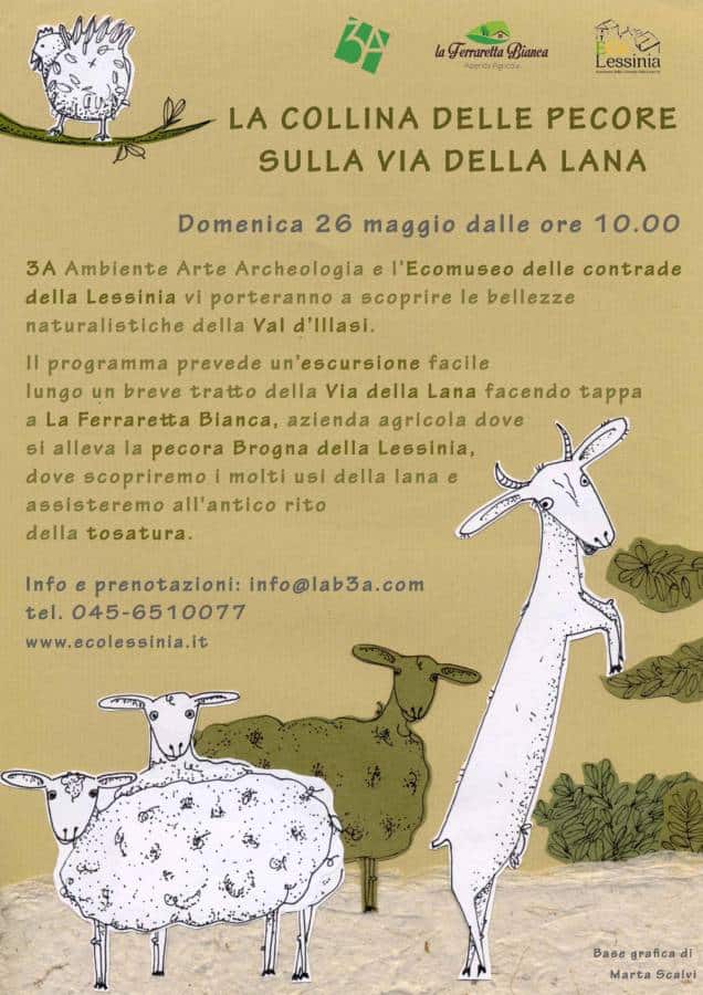 Escursione Guidata Alla Scoperta Della Via Della Lana 1011