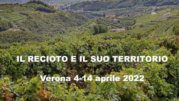 Mostra fotografica “Il Recioto e il suo territorio” a Palazzo Barbieri