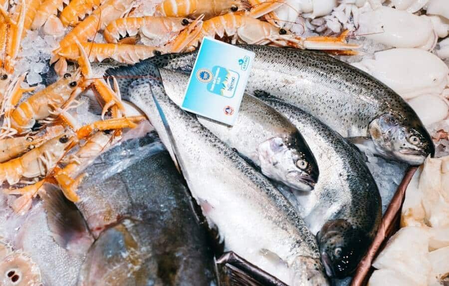 Da Eataly Verona arriva la prima Asta del Pesce